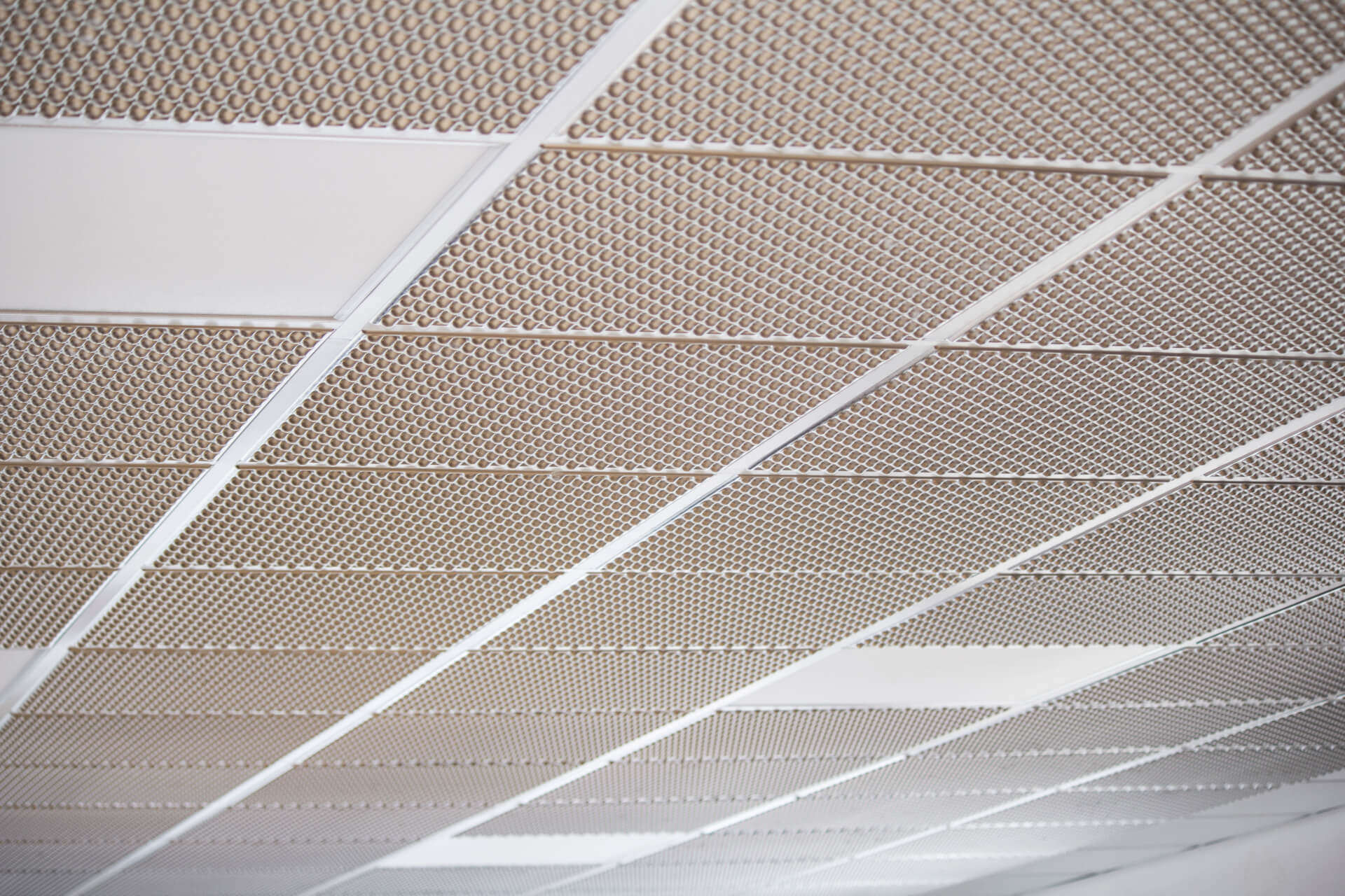Plaster Ceiling Panels What Should You Know - Business