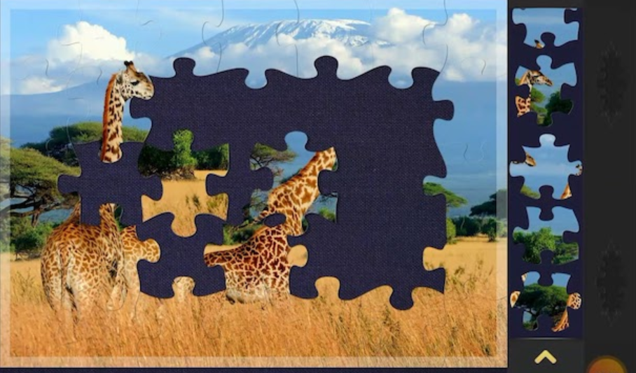 What Are the Different Types of Jigsaw Puzzles?