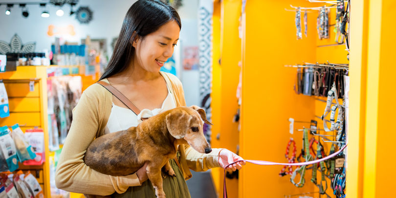 A Comprehensive Guide to Launching Your Pet Store